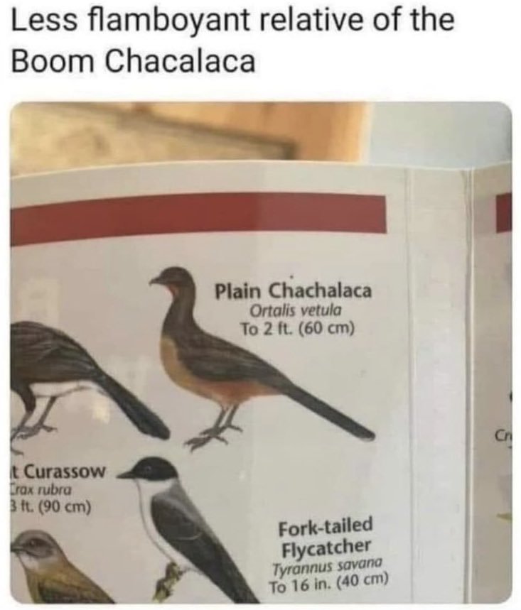 Boom chacalaca — With Both Hands