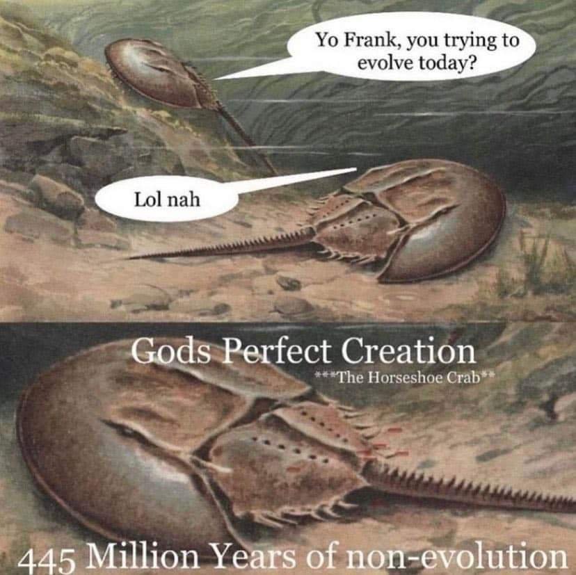 Carcinisation — With Both Hands