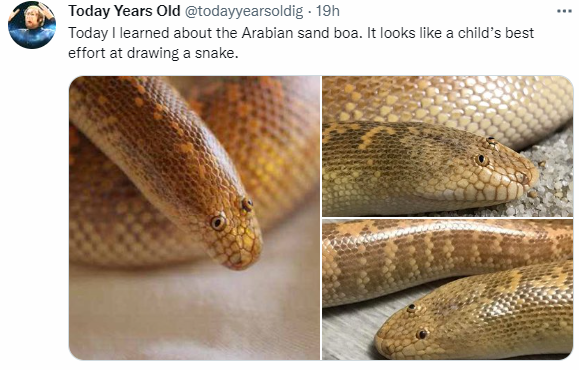 Good try buddy — With Both Hands